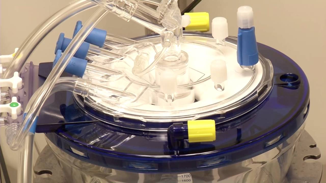 Lungs in a Box Save Michele - Ivanhoe Broadcast News, Inc.