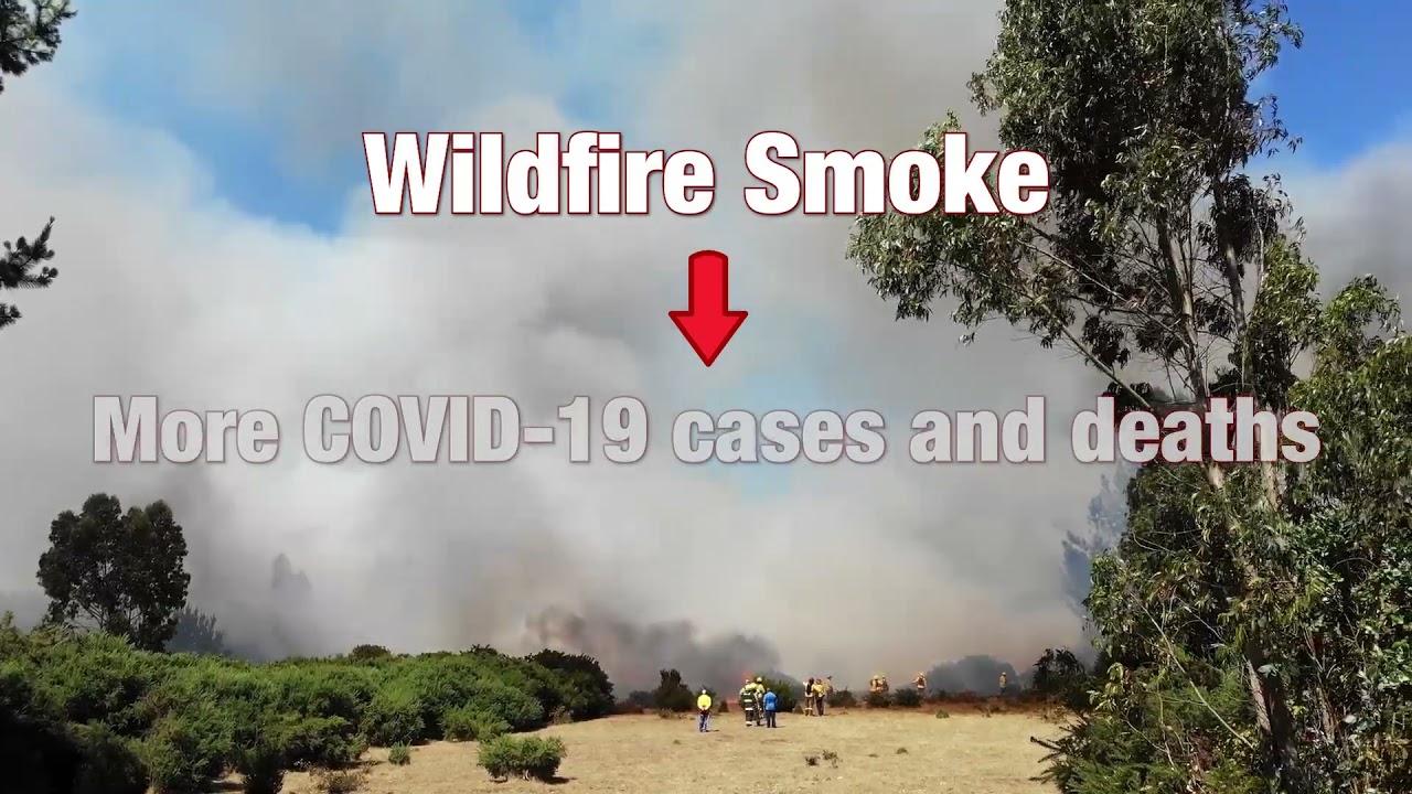 Air Pollution: Health Risks You Should Know About - Ivanhoe Broadcast ...