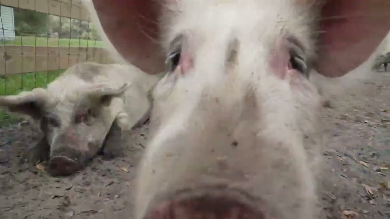 Daylight Saving What You Don T Know Ivanhoe Broadcast News Inc