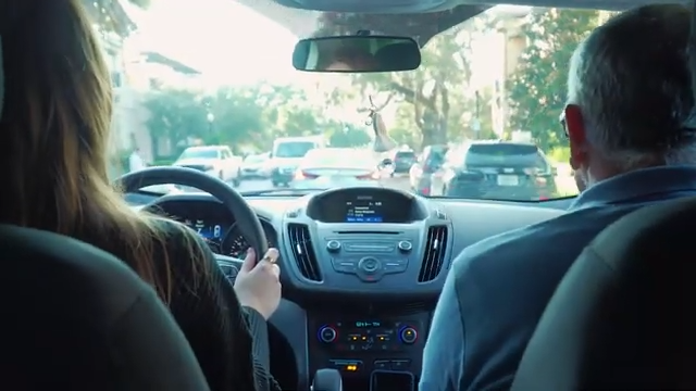 Epilepsy: Safe Driving? - Ivanhoe Broadcast News, Inc.