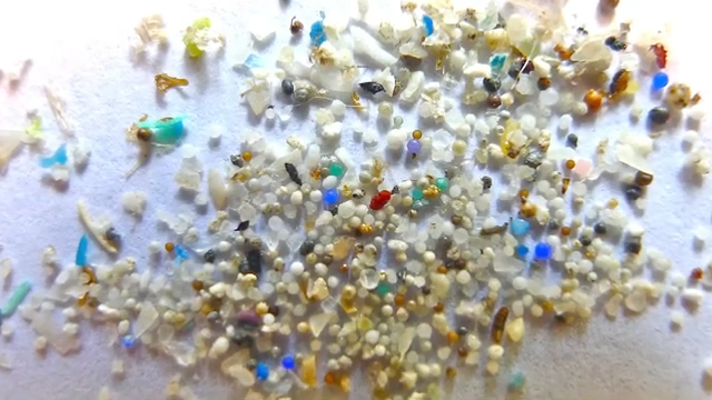 Micro Plastics - Ivanhoe Broadcast News, Inc.