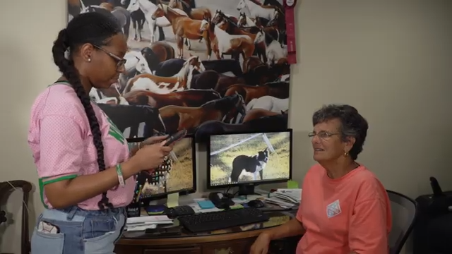 Empowering A New Generation: How to Lead Gen Z - Ivanhoe Broadcast News ...