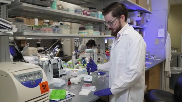 The HAMR Fights Cancer - Ivanhoe Broadcast News, Inc.