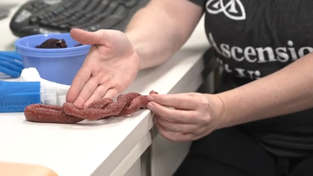 Simulation Specialist: Realism in Healthcare Training - Ivanhoe ...