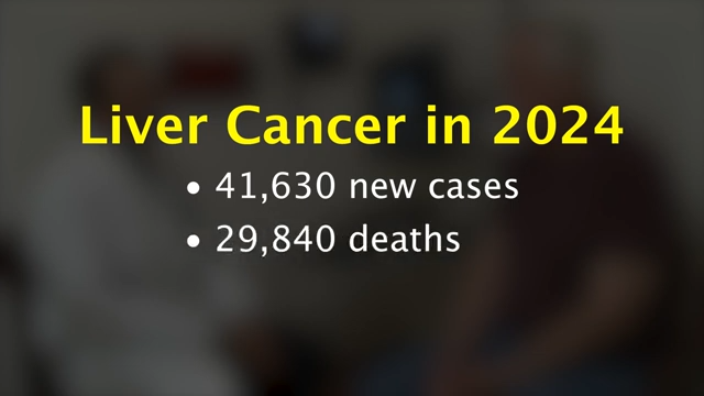 Liver Cancer: Ultrasound to The Rescue - Ivanhoe Broadcast News, Inc.