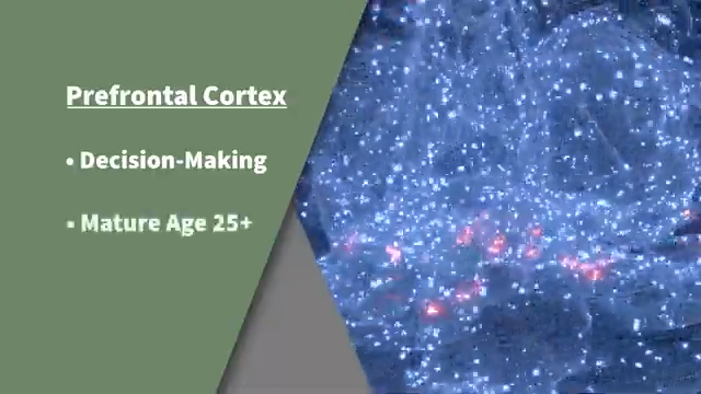 When Good Teens Make Bad Choices - Ivanhoe Broadcast News, Inc.